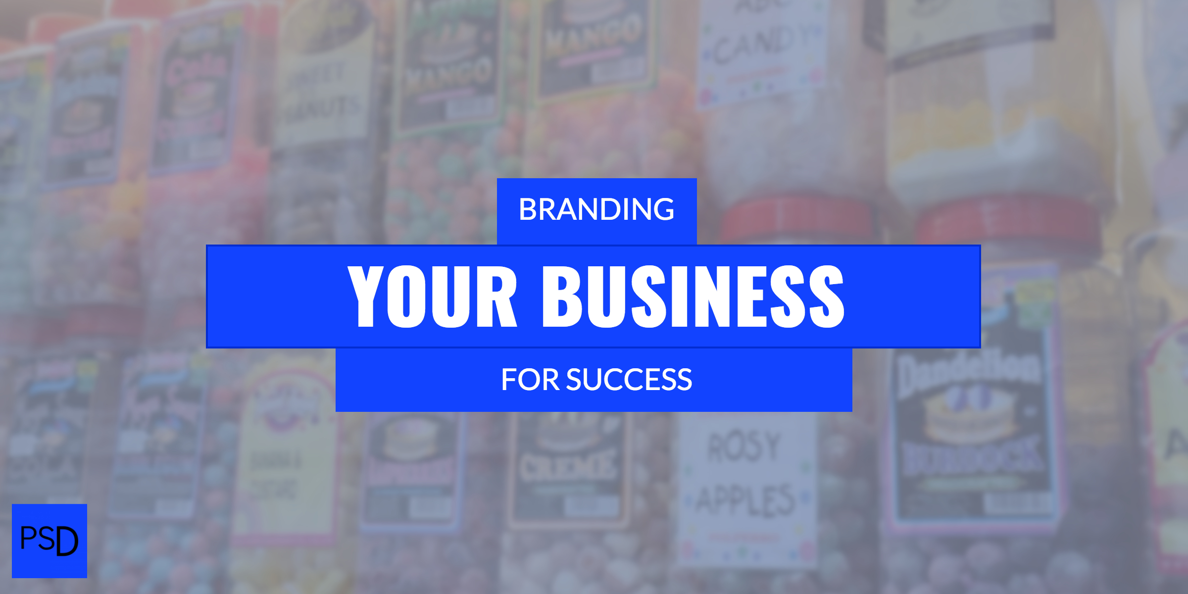 Branding Your Business for Success - ProStyle Development